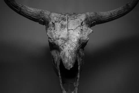 Western Horror - Mystery and Suspense Magazine